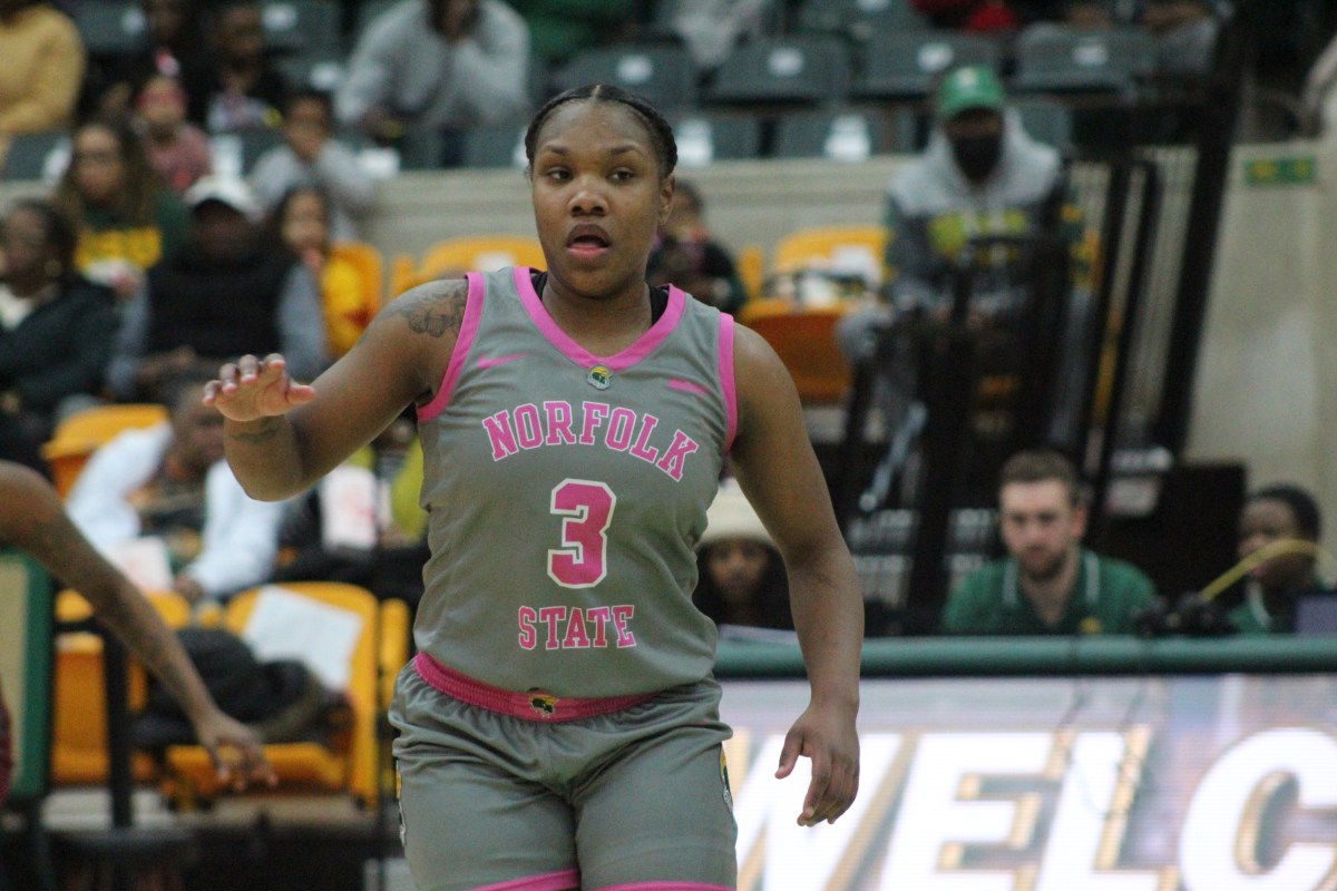 Player Spotlight: Diamond Johnson the lift the Lady Spartans needed for ...